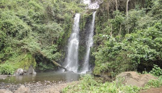 Luxury Marangu Shuttle Bus Transfer Nairobi Arusha Shuttle Bus
